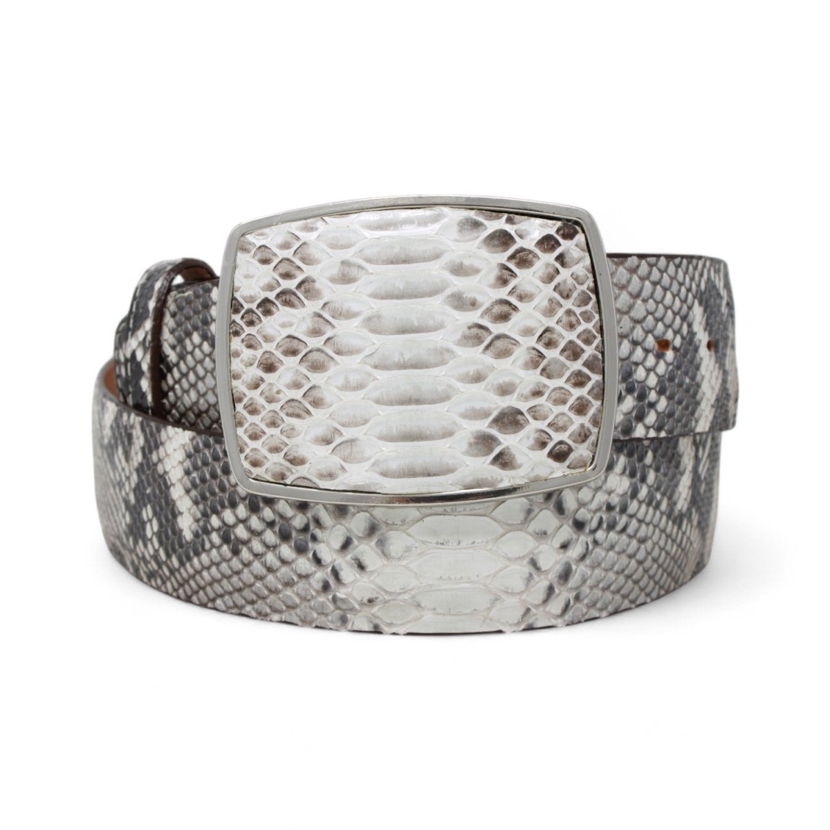 Cinto Vaquero Pitón LAB-C115749 — Menssuitsatlanta